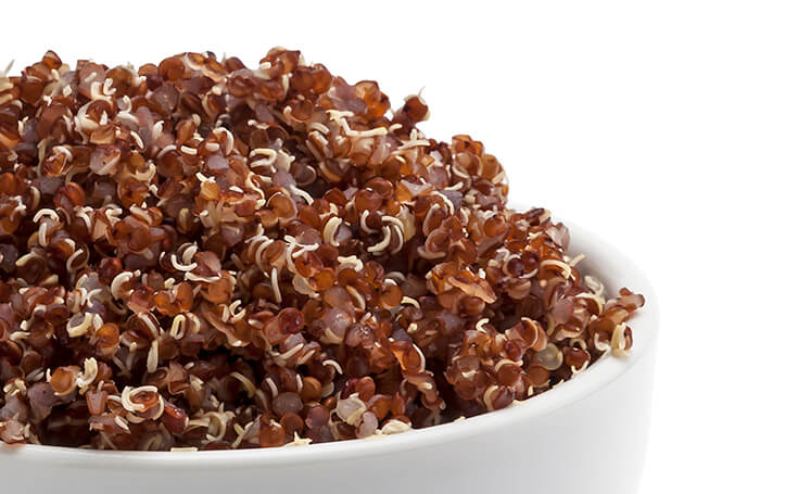 Simplot Foods | Corn